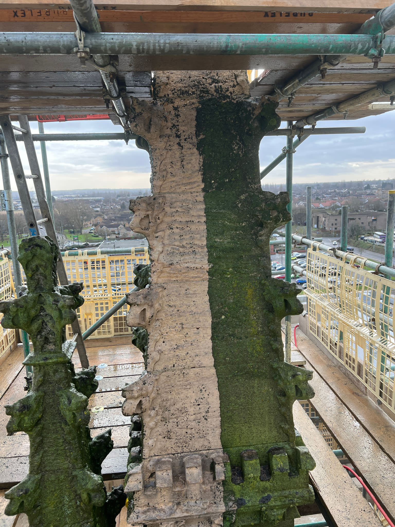 Cleaning Consultation - Ram 80